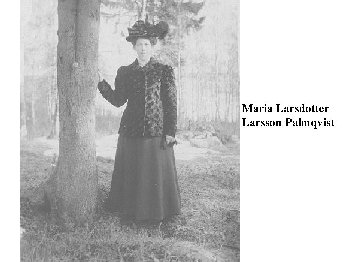 Maria Larsdotter Larson Palmqvist Dahlberg The Larsson Family