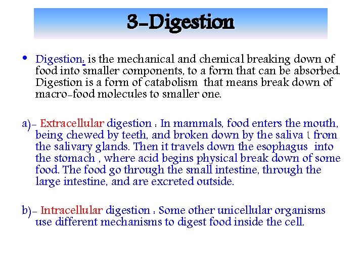 Physiology 3 Digestion Digestion is the mechanical and