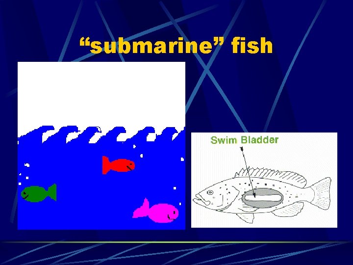 Forces in Fluids Chapter 13 What is pressure