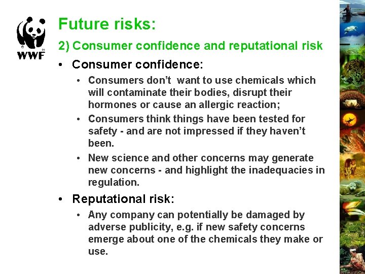 The potential benefits to business consumers and the