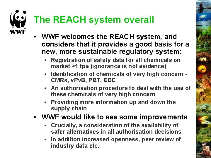 The potential benefits to business consumers and the