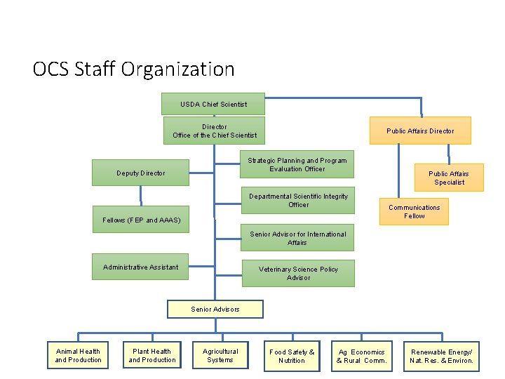 AGENDA 1 About the Office of the Chief