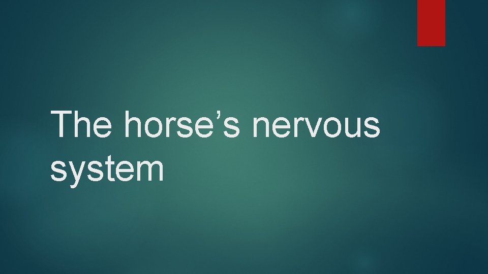 The horses nervous system objectives Label a diagram