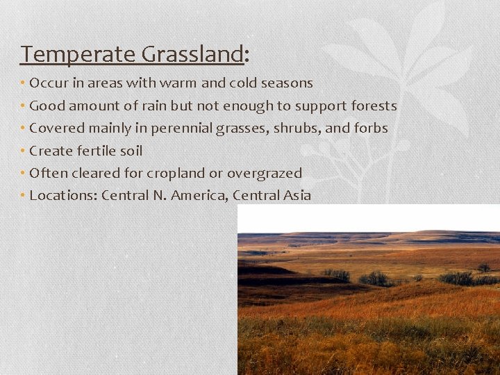 ECOSYSTEMS OF EARTH Terrestrial biomes Marine ecosystems and
