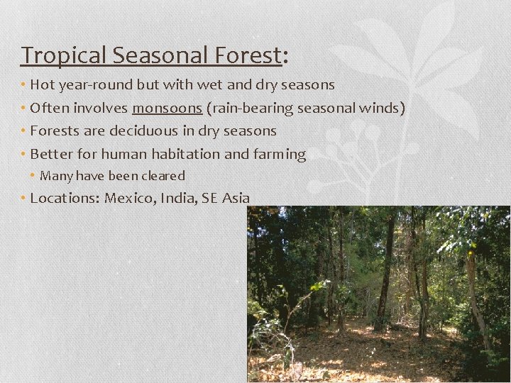 ECOSYSTEMS OF EARTH Terrestrial biomes Marine ecosystems and