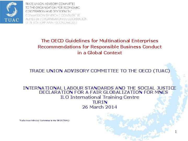 The OECD Guidelines for Multinational Enterprises Recommendations for