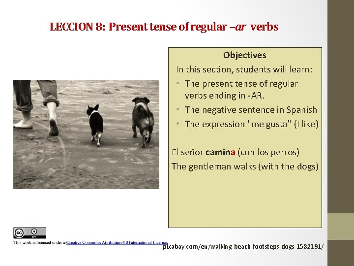 LECCION 8 Present tense of regular ar verbs