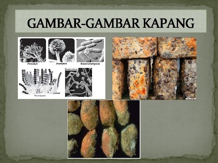 FAKTOR PENYEBAB KERUSAKAN MAKANAN KAPANG DIBUAT OLEH FITRI