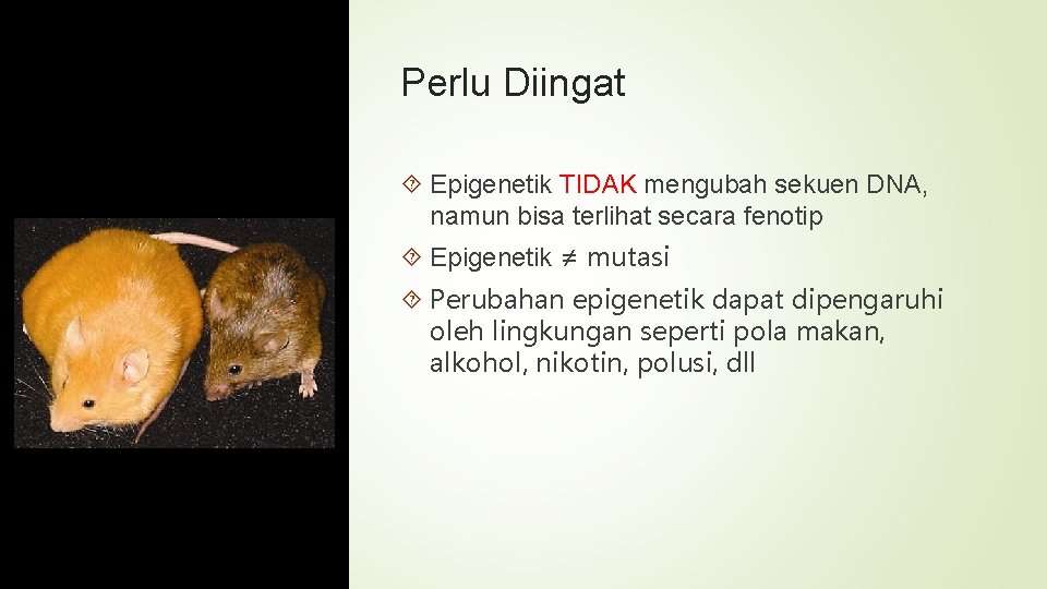 Pertemuan 2 EPIGENOME Dr Henny Saraswati M Biomed