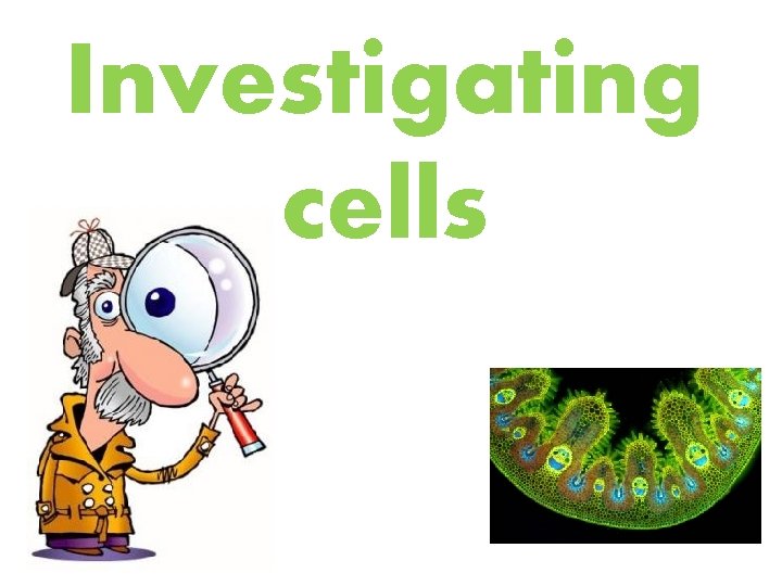 Lesson Starter 1 Complete the table 2 Give