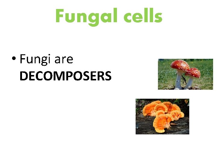 Lesson Starter 1 Complete the table 2 Give