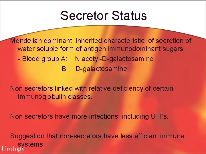 Recurrent Persistent UTI and Management of Kidney Stones