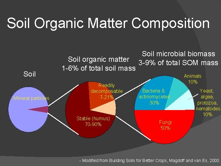 THE SCIENCE BEHIND SOIL CRITTERS But first a