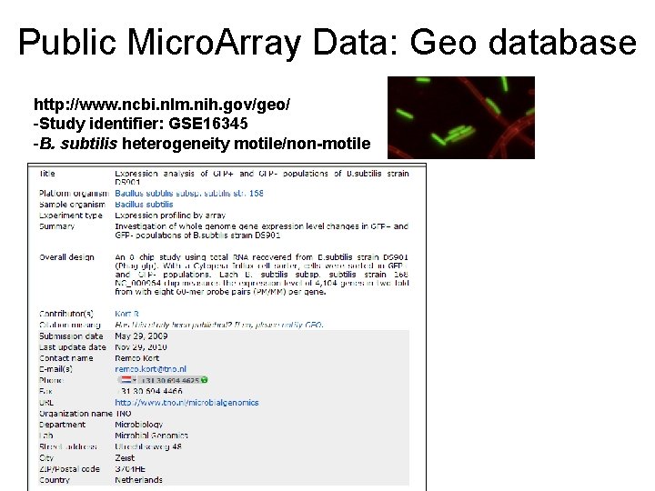 Workshop Analysis of Microbial Transcriptomics Data Data Analysis