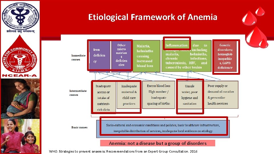Anemia Mukt Bharat Webinar Series Pediatric Anemia in