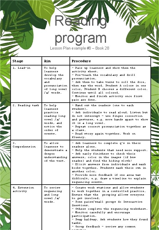 Reading program Lesson Plan example 8 Book 28