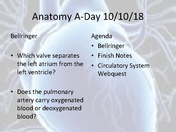 HEART PHYSIOLOGY Anatomy ADay 10218 Bellringer Through what
