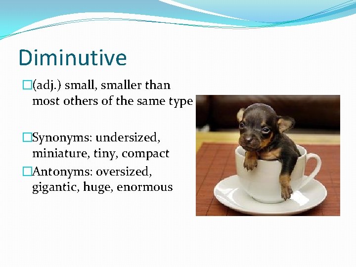 Vocabulary Workshop Unit 10 Level D Adept adj