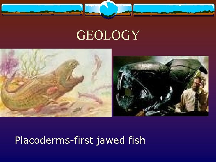 GEOLOGY MACC Bill Palmer Lecture 9 Vertebrate Fossils