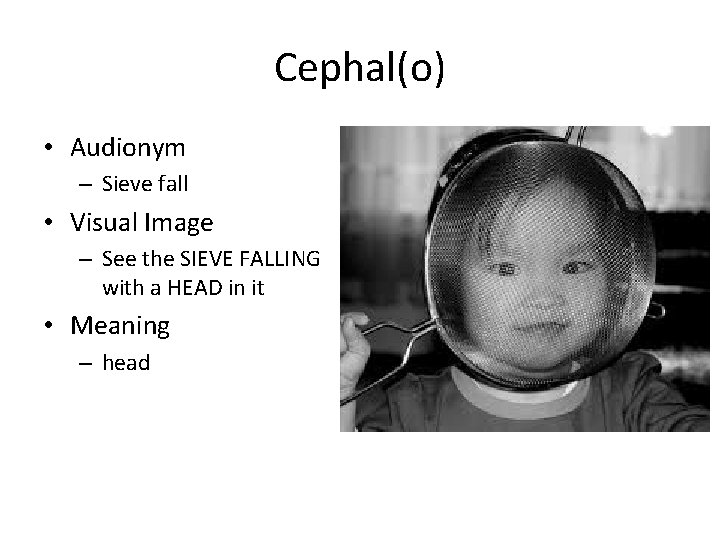 Ch 3 Body Structures Audionyms Anti Audionym Ant