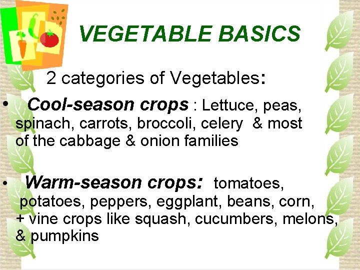 GET GROWING VEGETABLES IN POTS VEGETABLES IN PLOTS