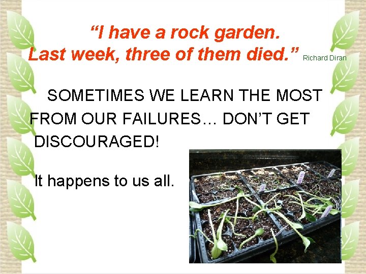 GET GROWING VEGETABLES IN POTS VEGETABLES IN PLOTS