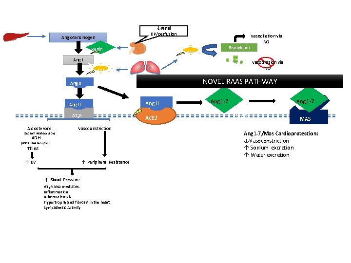 NATIONAL CENTER FOR CASE STUDY TEACHING IN SCIENCE