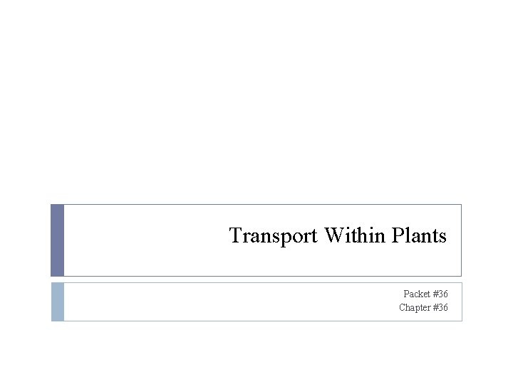 Transport Within Plants Packet 36 Chapter 36 Introduction