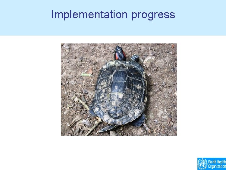 WHO Guidelines for IPT and ICF Reuben Granich