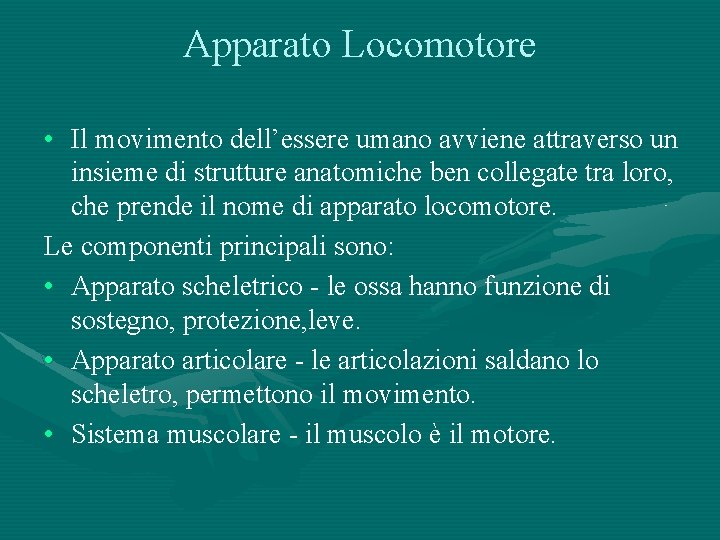 IL CORPO UMANO MACCHINA DEL MOVIMENTO Apparato Locomotore