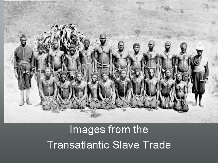 Slavery Presentation Images from the Transatlantic Slave Trade