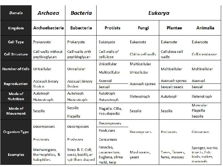 Unit 11 Notes Taxonomy Classifying Living Things TEK