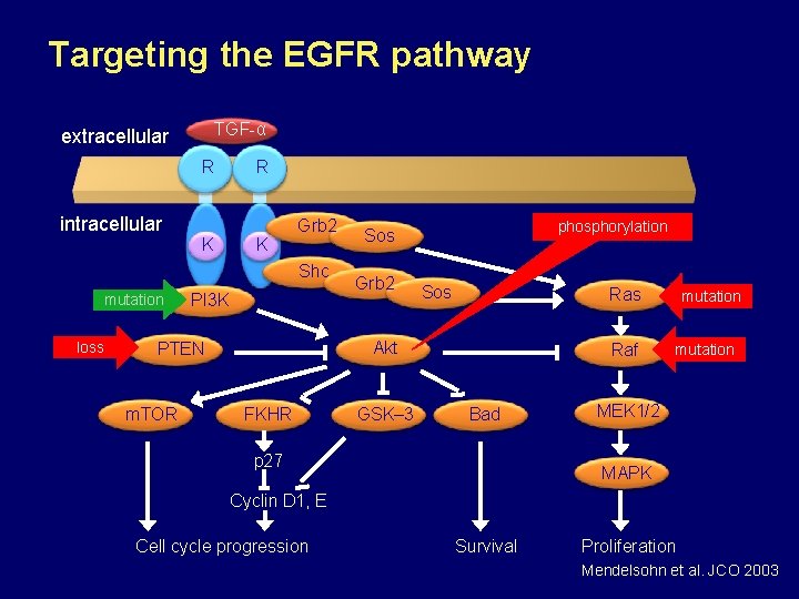 Uso prctico de biomarcadores en cncer de colon