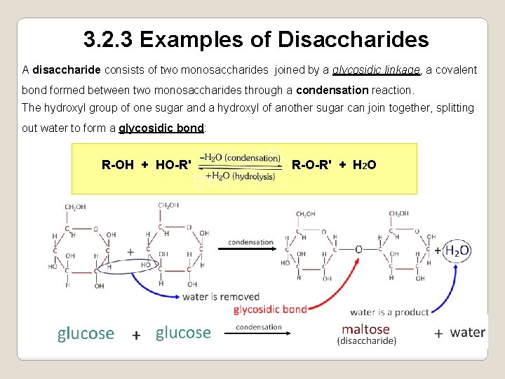 3 2 1 Carbon Makes Organic Molecules Why