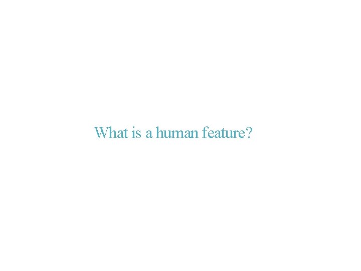 What is a human feature Human feature A