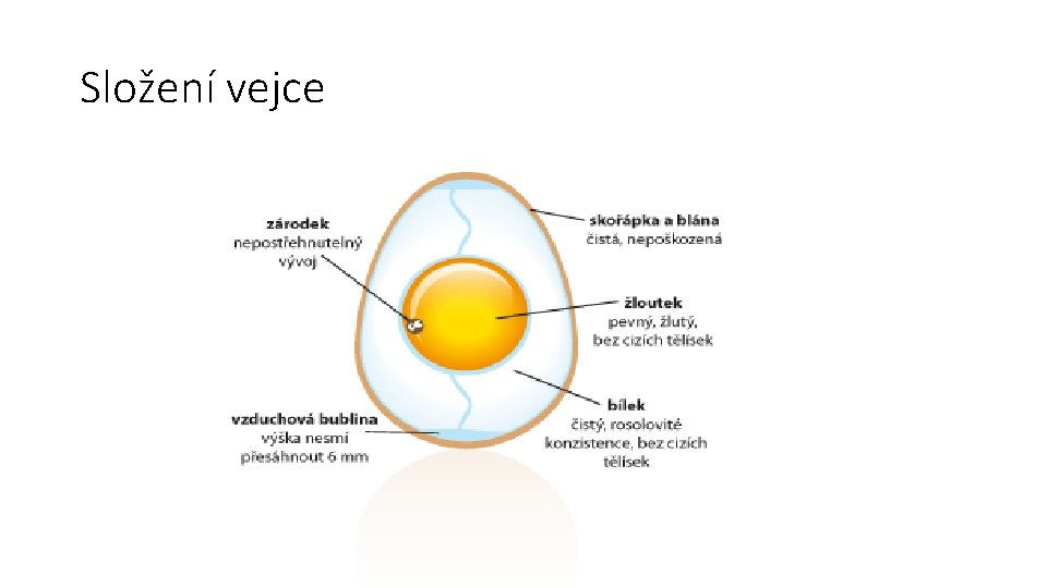 Vejce Charakteristika Slepi vejce pat vedle masa a