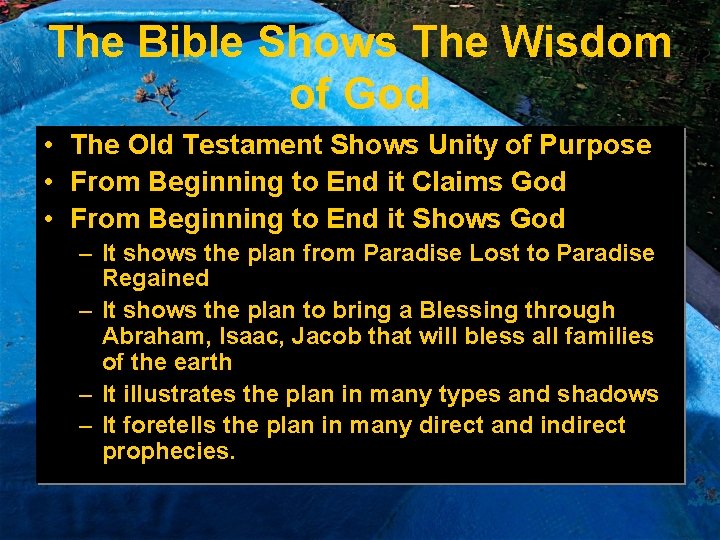 Parallels of Jesus in Exodus Embedded Marks of