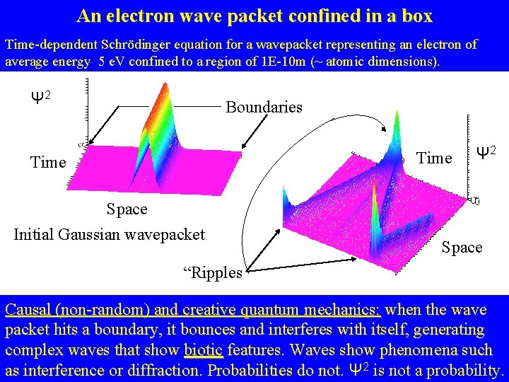 CREATION THEORY and the demonstration of biotic patterns