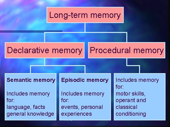 I CAN Describe capacity and length of LTM
