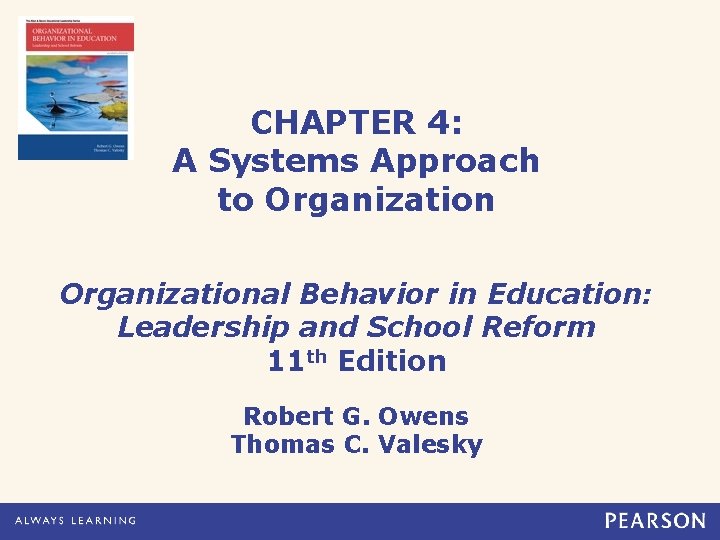 CHAPTER 4 A Systems Approach to Organizational Behavior