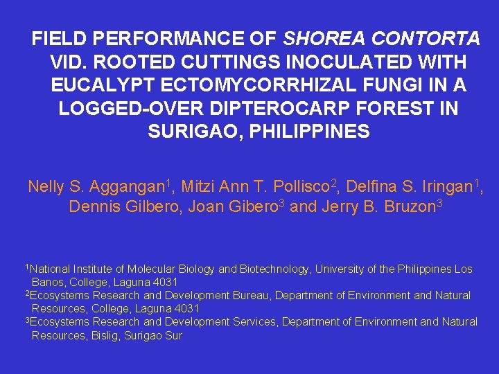 FIELD PERFORMANCE OF SHOREA CONTORTA VID ROOTED CUTTINGS