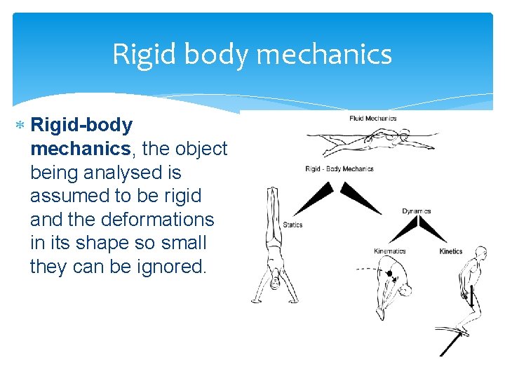 CONTENT Biomechanical terms Biomechanics Kinesiology Kinetics ...
