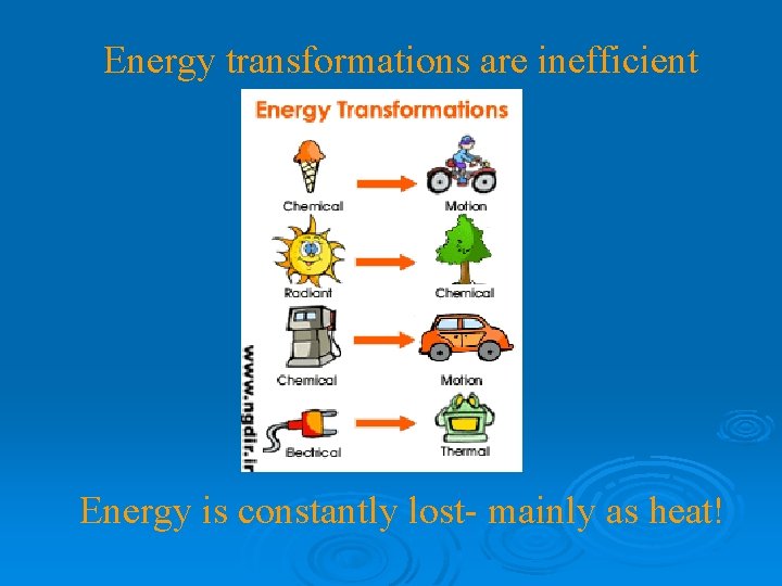 Unit 2 Ecosystems Biospheres Energy Matter Biogeochemical Cycles