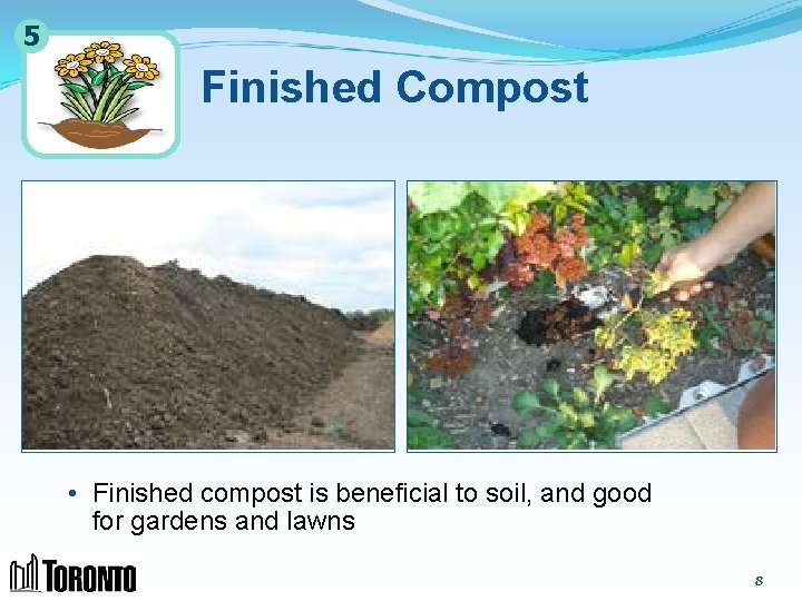 What Goes In the Green Bin toronto carecycle