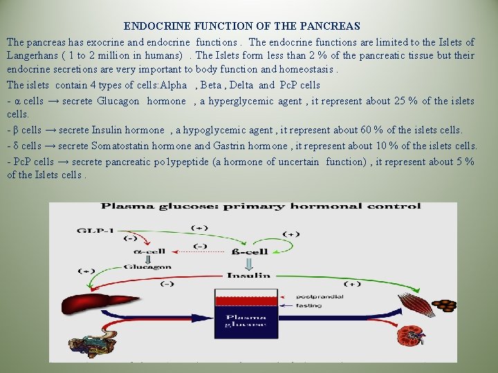 6 THE PANCREATIC HORMONES AND BLOOD GLUCOSE REGULATION