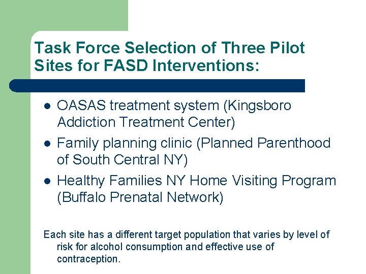 New Yorks Statewide FASD Prevention Initiative Presentation to