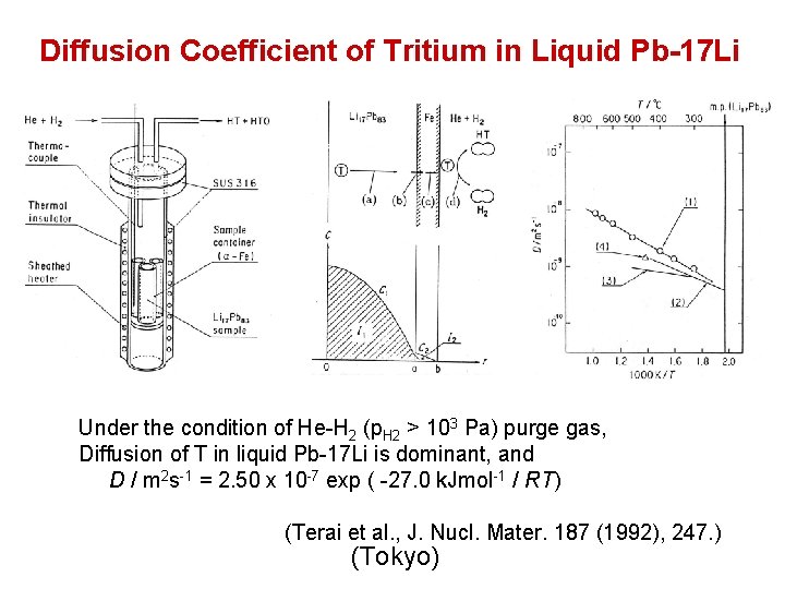 Overview of Japanese Pb LiT Research Activities and
