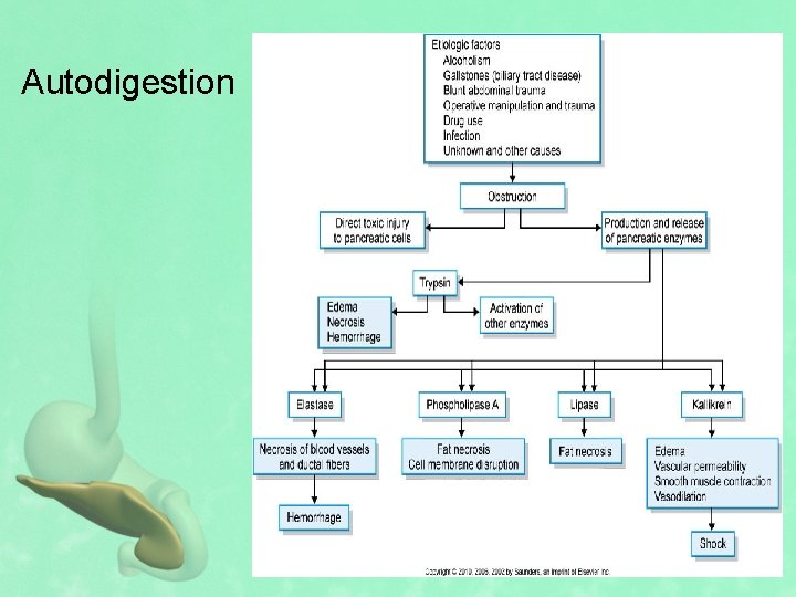 Care of Patients with Problems of the Biliary