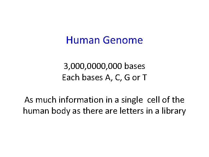 HNF 1 B genetics Andrew Hattersley Professor Molecular