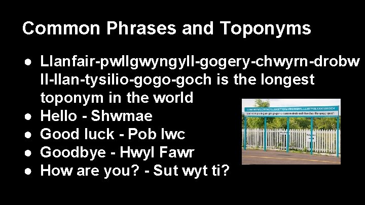 Welsh Hayley Williams Basics Celtic language Cymru Spoken